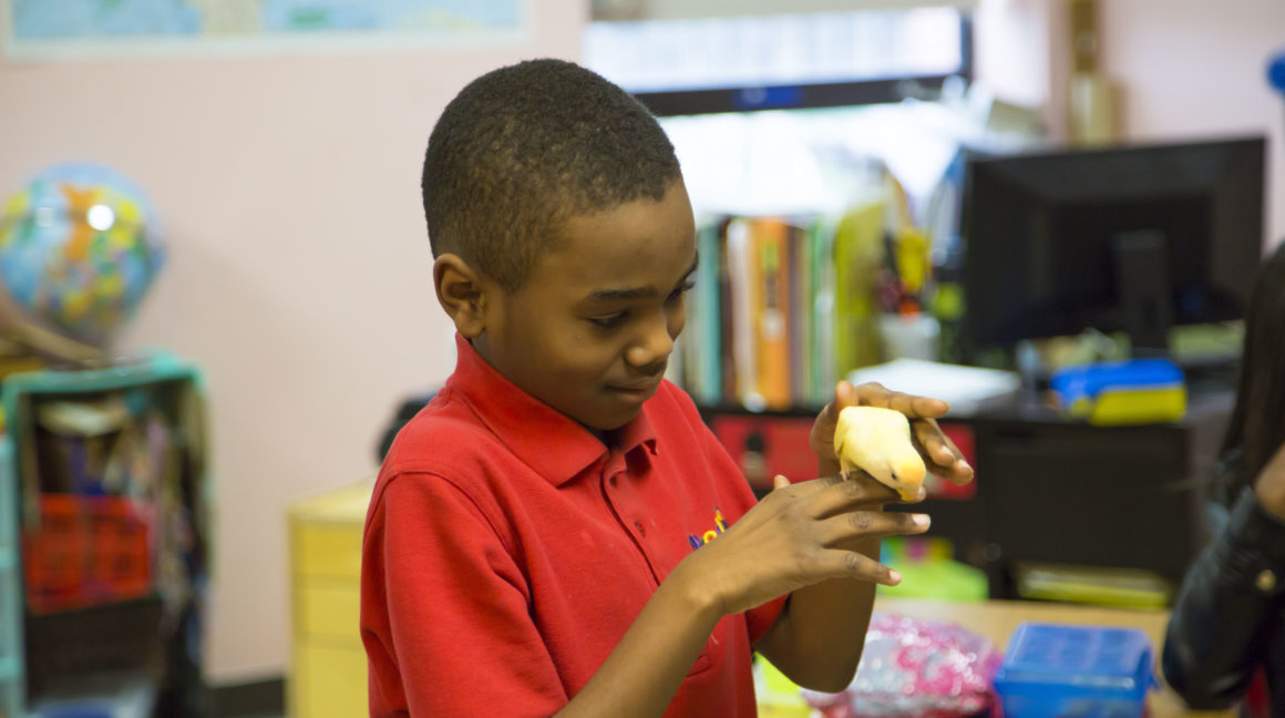 Media - Prodigy Learning Center